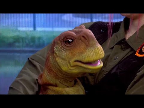 Jurassic Quest coming to Greenville
