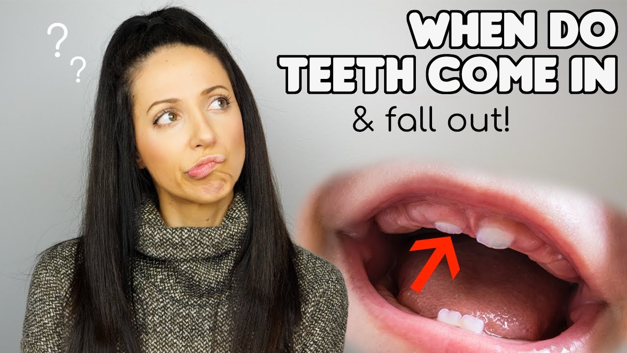 When Do Baby & Adult Teeth Come In? (Tooth Eruption Ages)