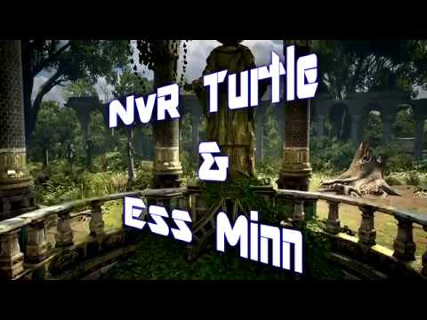 NvR Turtle ft Ess Minn "Flashy Ninjas"