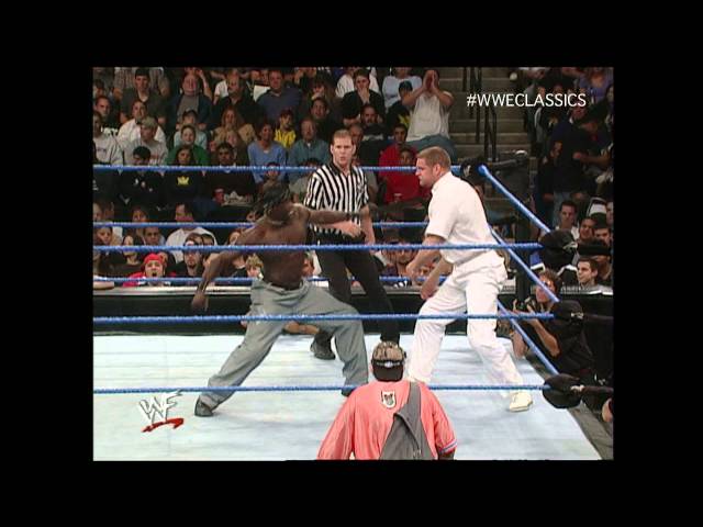 4 WWF Stables based on real life