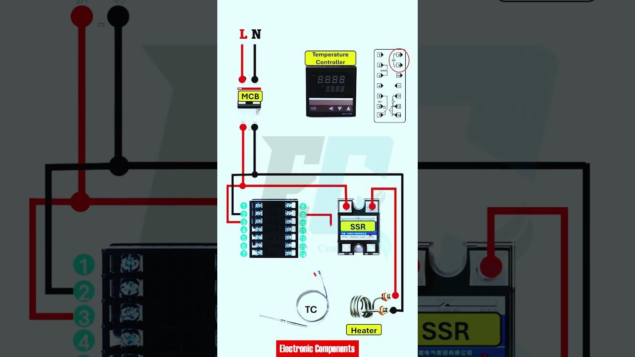 Temperature Controller Connection With SSR #shots