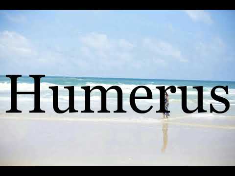 How To Pronounce Humerus🌈🌈🌈🌈🌈🌈Pronunciation Of Humerus