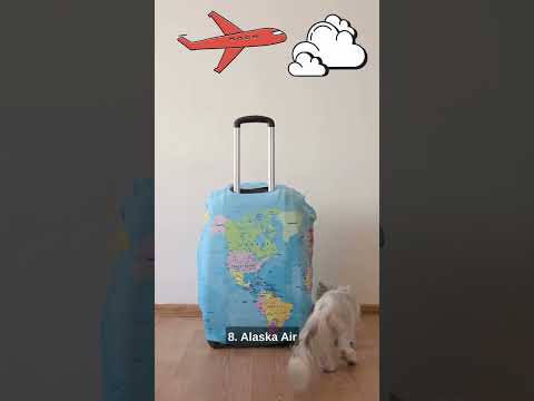 15 AIRLINES THAT ALLOW CAT IN CABIN #shorts #travel #cat