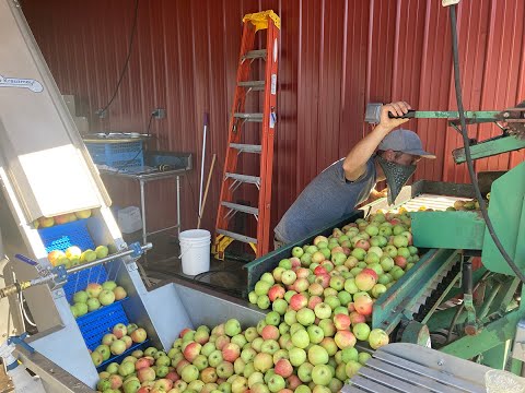 Cider Barn Tours kick off this month (November)