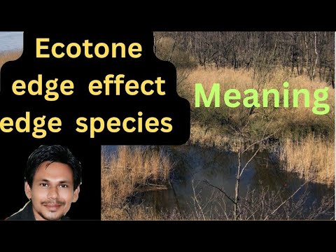ecotone||ecotone meaning||ecotone and edge effect||ecotone in hindi ecotone kya hai||ecotone upsc