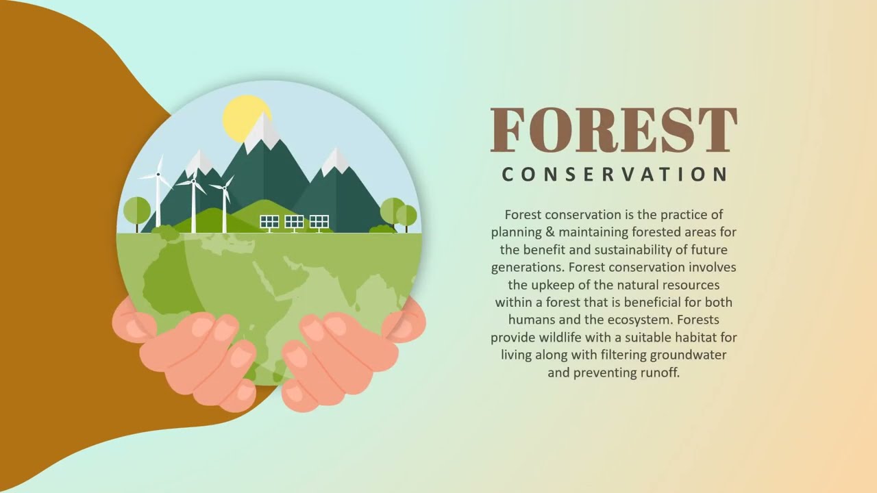 Forest Conservation Animated PPT Template