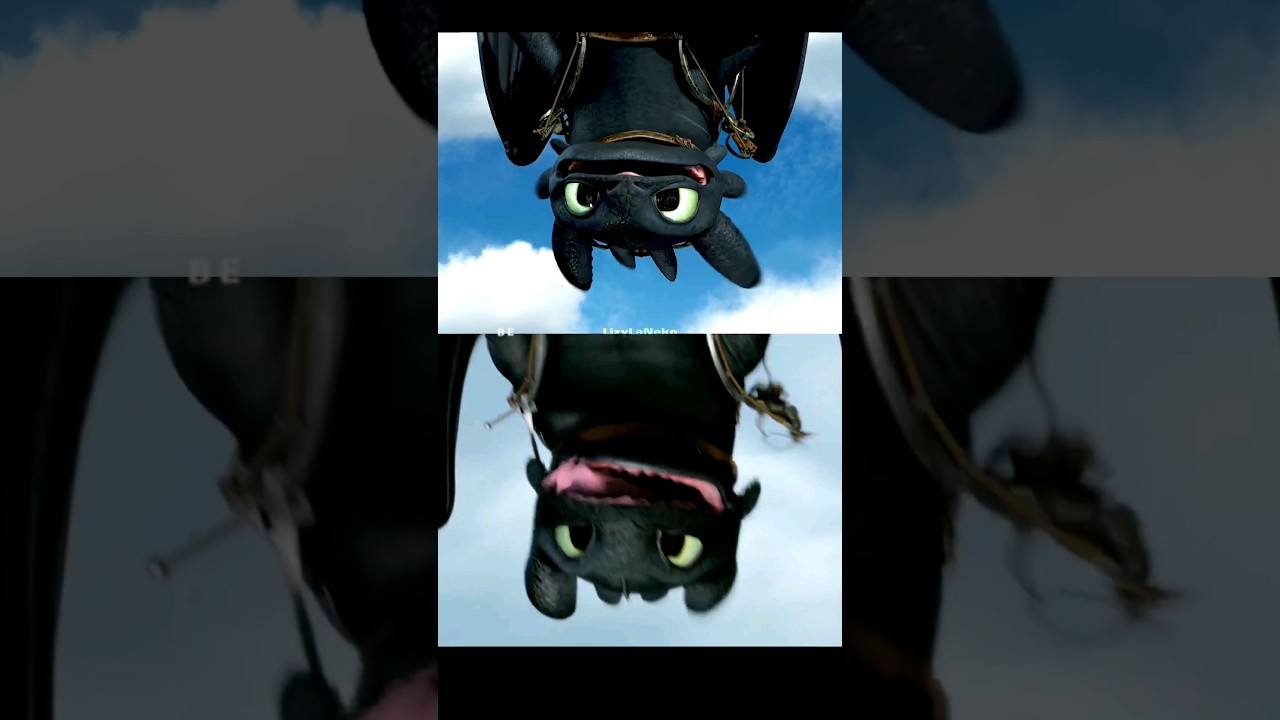 •HTTYD parallel •