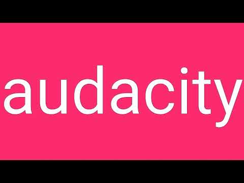 Audacity Definition & Meaning