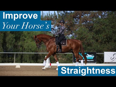 Straightness: Identify and Correct the Hollow and Stiff side