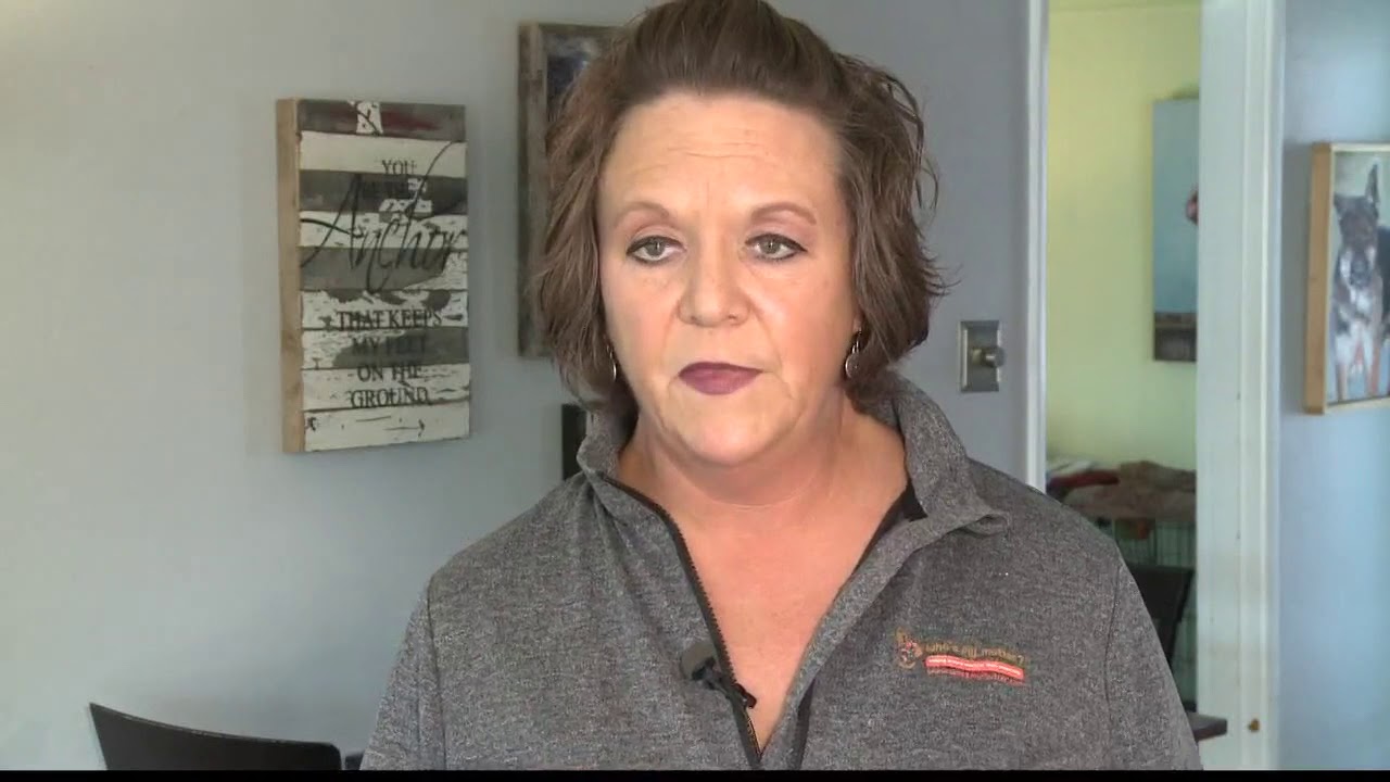 App identifies your dog's dominant breed