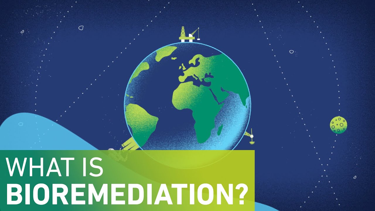 What is Bioremediation?