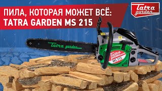 Tatra Garden MS 215 купити в інтернет-магазині: ціни на бензопила MS ...