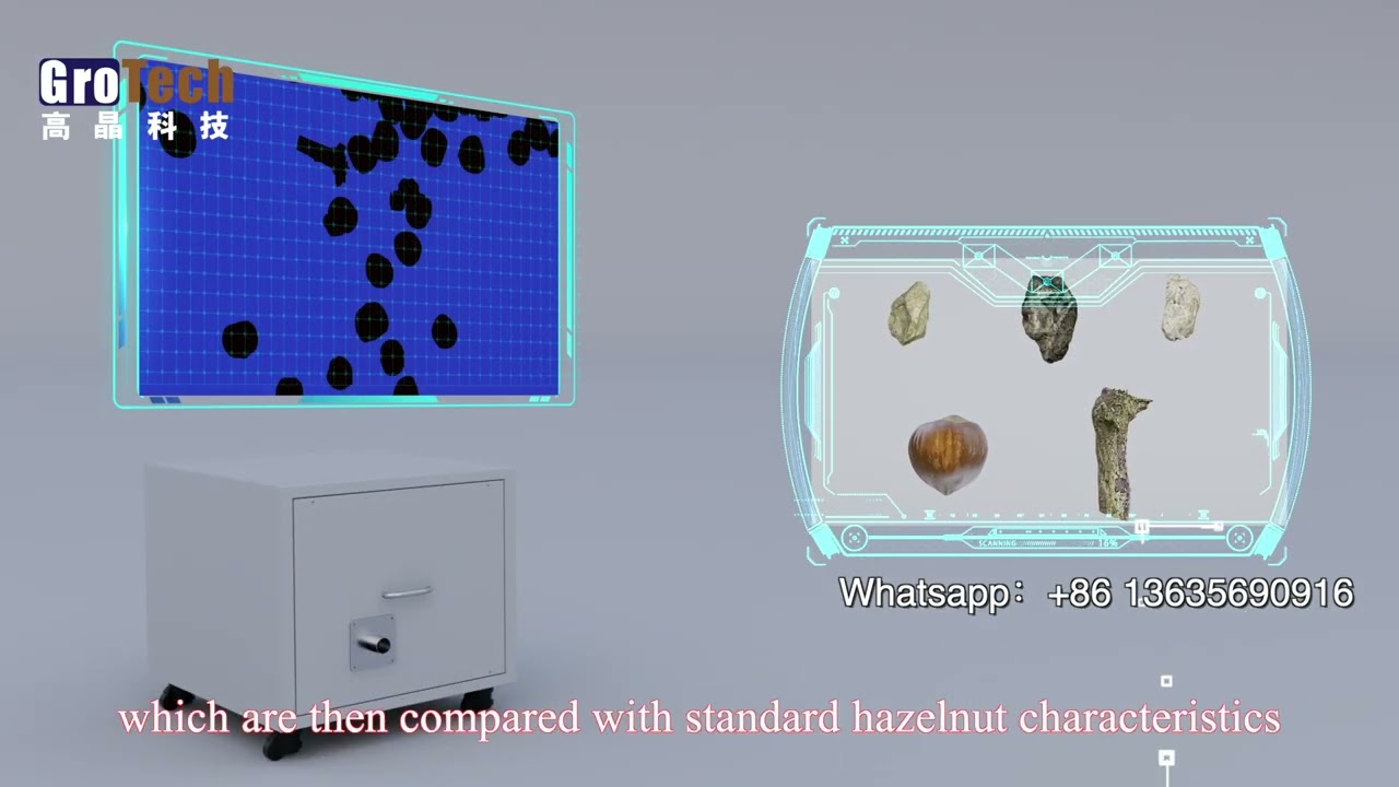 How does the AI Artificial Intelligence color sorter sort worm-eaten hazelnuts?