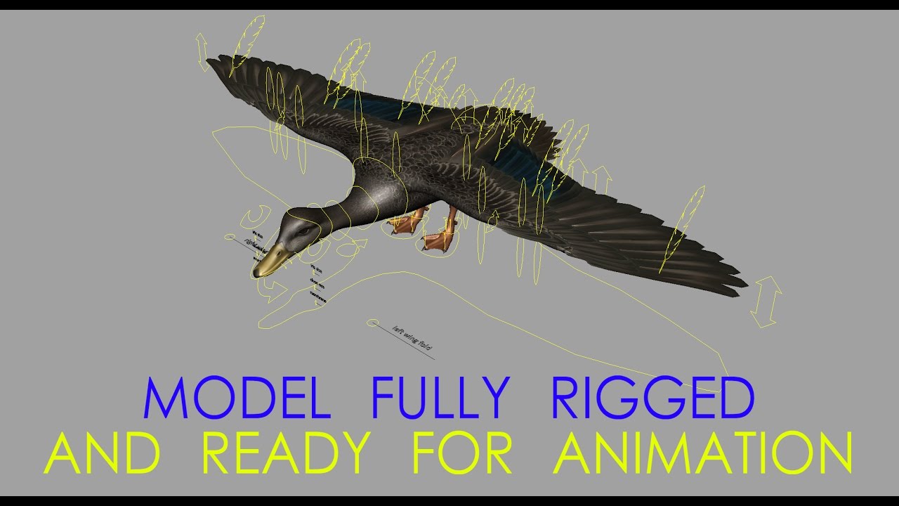Duck Rig Preview