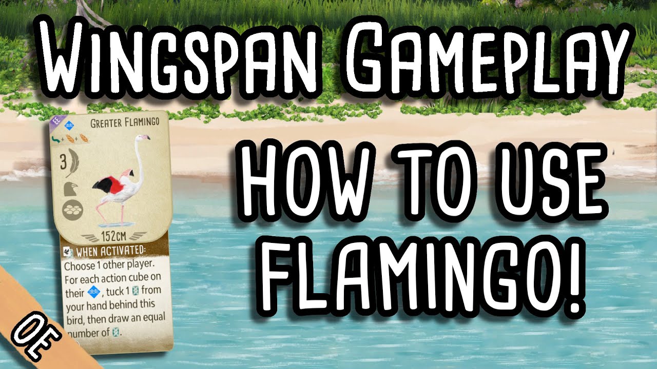 Flamingo opening strategy! | Wingspan Gameplay