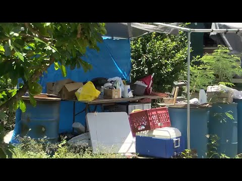 City moves to take over property where family has been squatting for decades