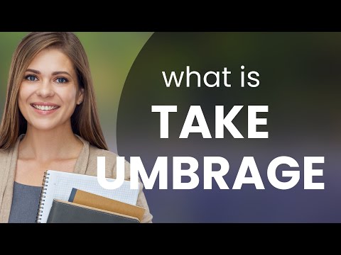 Understanding "Take Umbrage": A Guide to English Idioms