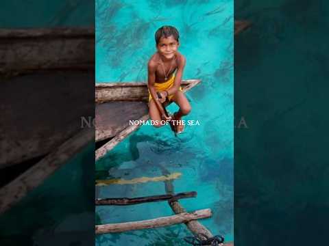 THE BAJAU, ALSO CALLED THE SEA GYPSIES OR SEA NOMADS #didyouknow #bajau #traveltheworld