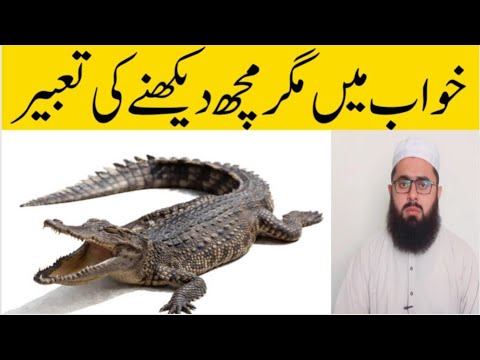 Khwab mein magarmach dekhna | Crocodile in dream meaning islam | خواب میں مگرمچھ دیکھنے کی تعبیر