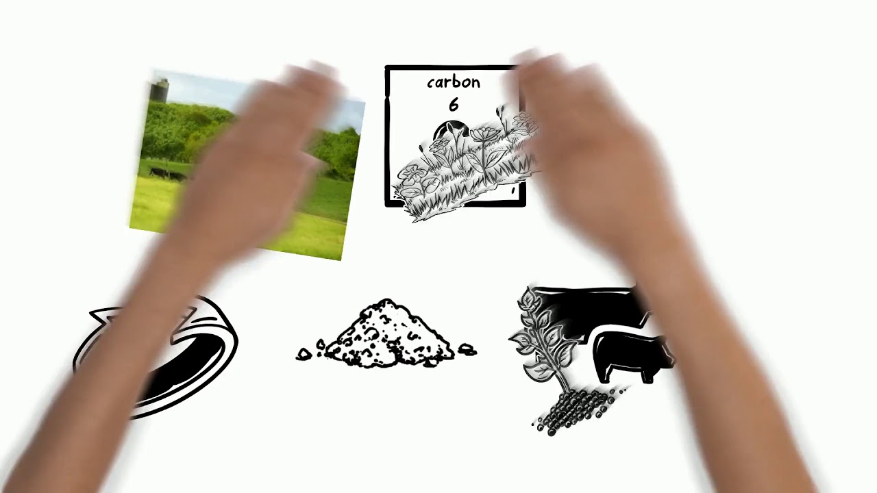 Grassland Carbon Sequestration (Network 1 - Ireland)