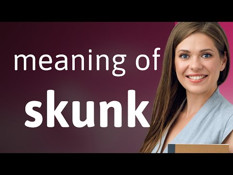 Skunk — SKUNK definition