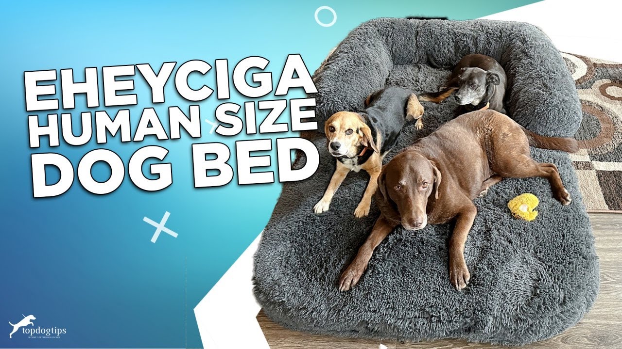Review: EHEYCIGA Human Size Dog Bed