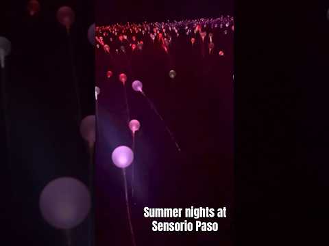We checked out @SensorioPaso last week #shortvideo #pasorobles #art #lights #wine #music #sensorio