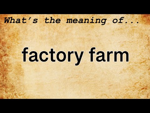 Factory Farm Meaning : Definition of Factory Farm