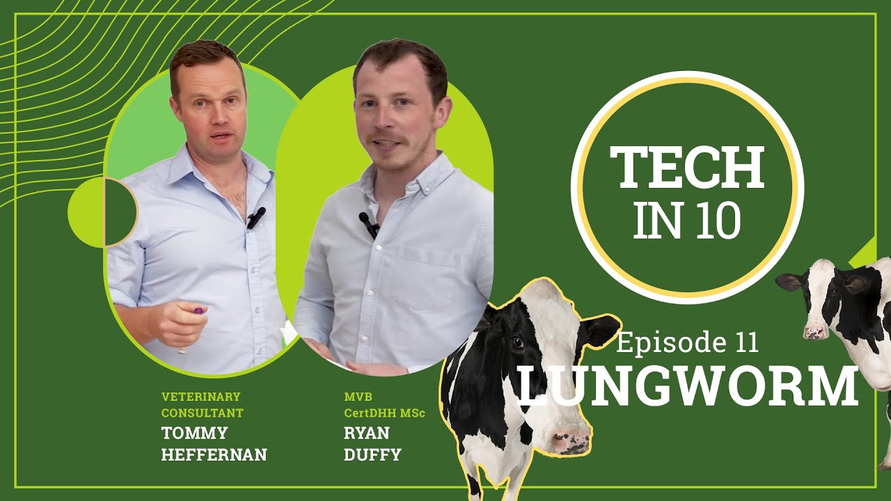 Tech in 10 - Episode 11: Lungworm in Cattle: Lifecycle, Risks & Reinfection Syndrome Explained
