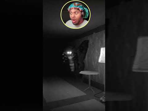 EVERYONE'S WORST NIGHTMARE!!! | Moth House