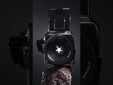 A Film Camera Icon | 500C/M