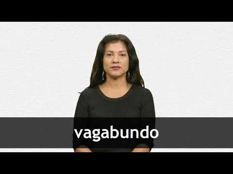 English Translation of “VAGABUNDO” | Collins Spanish-English Dictionary