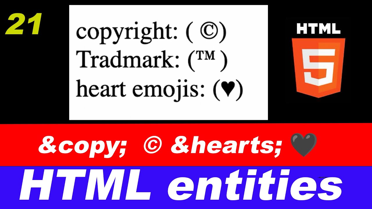 HTML Entities Explained (Beginner Friendly)