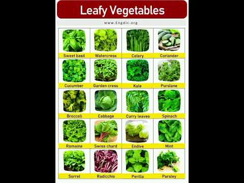 Leafy vegetables vocabulary #vegetables #leafyvegitables #leafygreens #leafy #vocabulary