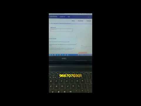 How To Check Icegate Registration Status