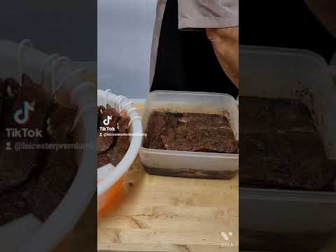 Hanging Beef Biltong