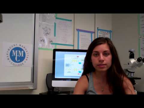 What can you do with a Biology degree?
