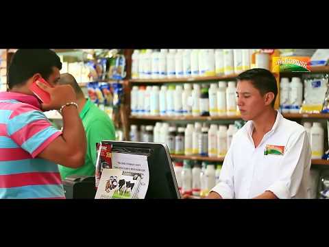 Agropaisa Principal Cra 16 Bucaramanga