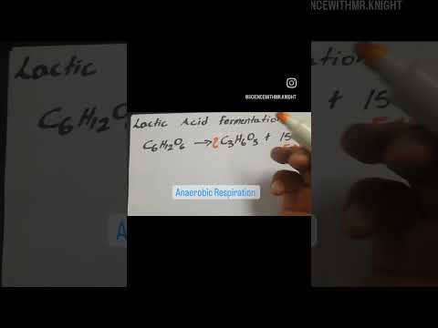 Lactic Acid Fermentation