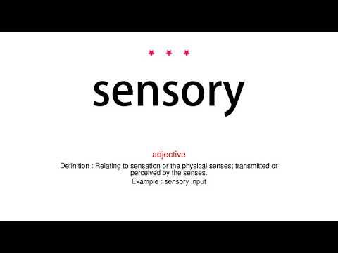 How to pronounce sensory - Vocab Today