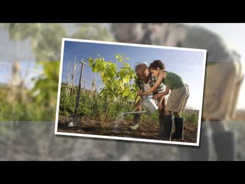 What is Alternative Energy?