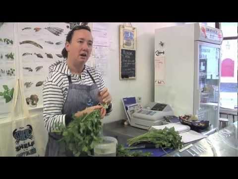 Swanage Bay Fish – Fresh fish and Shellfish mongers