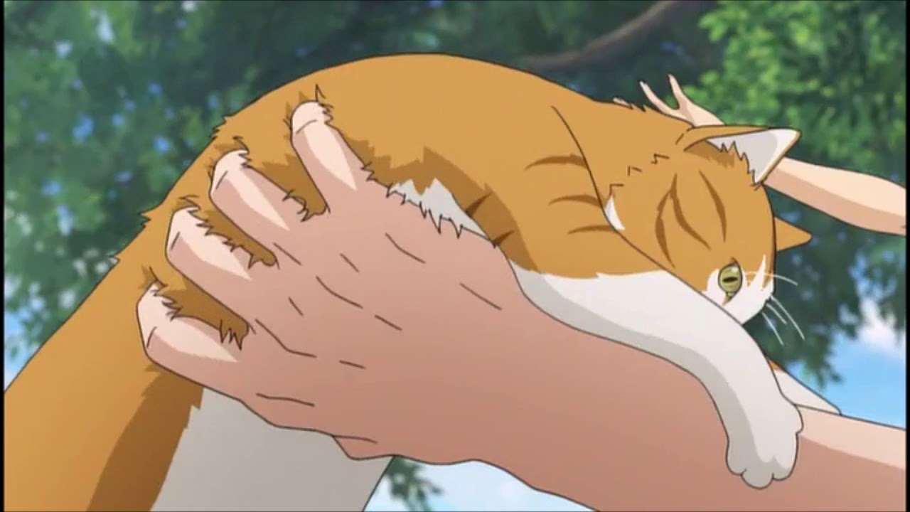 Haikyuu!! - Lev and Kenma Cat Scene