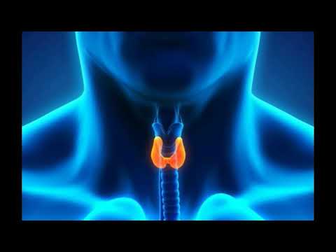 What is a Hypoechoic Mass