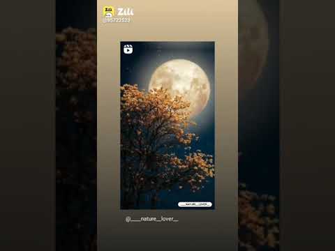 🌙light #beautiful full moon pictures