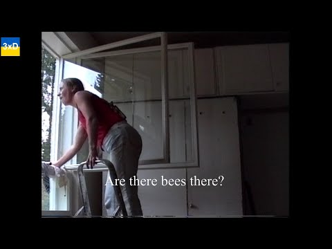 Episode 1590: What happened in the battle with the wasps? July 18 / Year 4