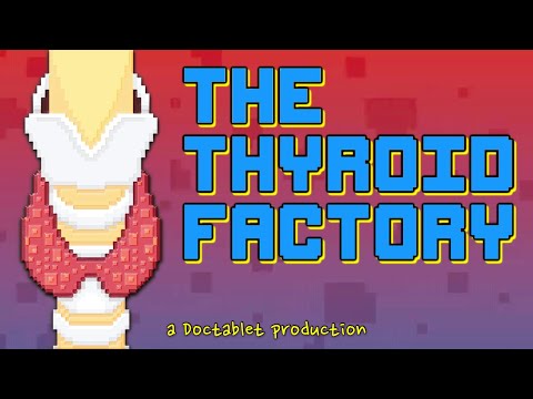 The Thyroid Factory: Understanding Thyroid Function and Thyroid Function Tests