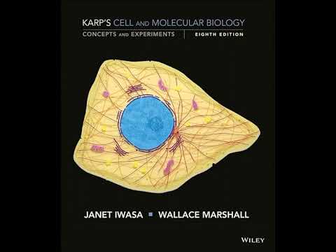 Gene Expression: From DNA to Protein | Chapter 7 - Karp’s Cell and Molecular Biology