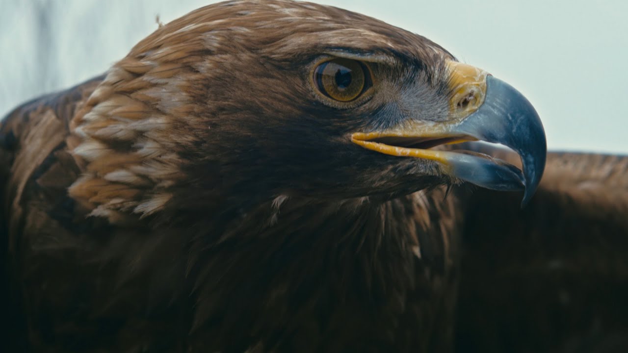 Yima by Ummet Ozcan from Turkey | Popnable