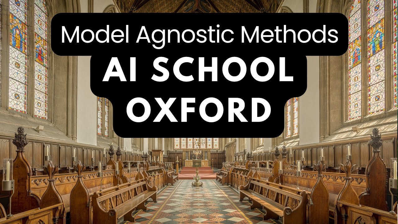 Module 1 - Lesson 4: Model Agnostic Methods